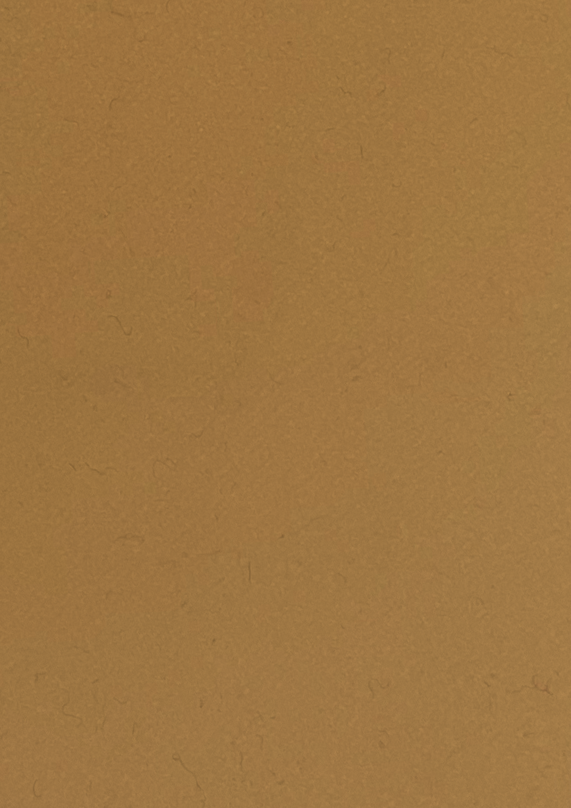 Doeskin – Hainsworth Signature Fabrics