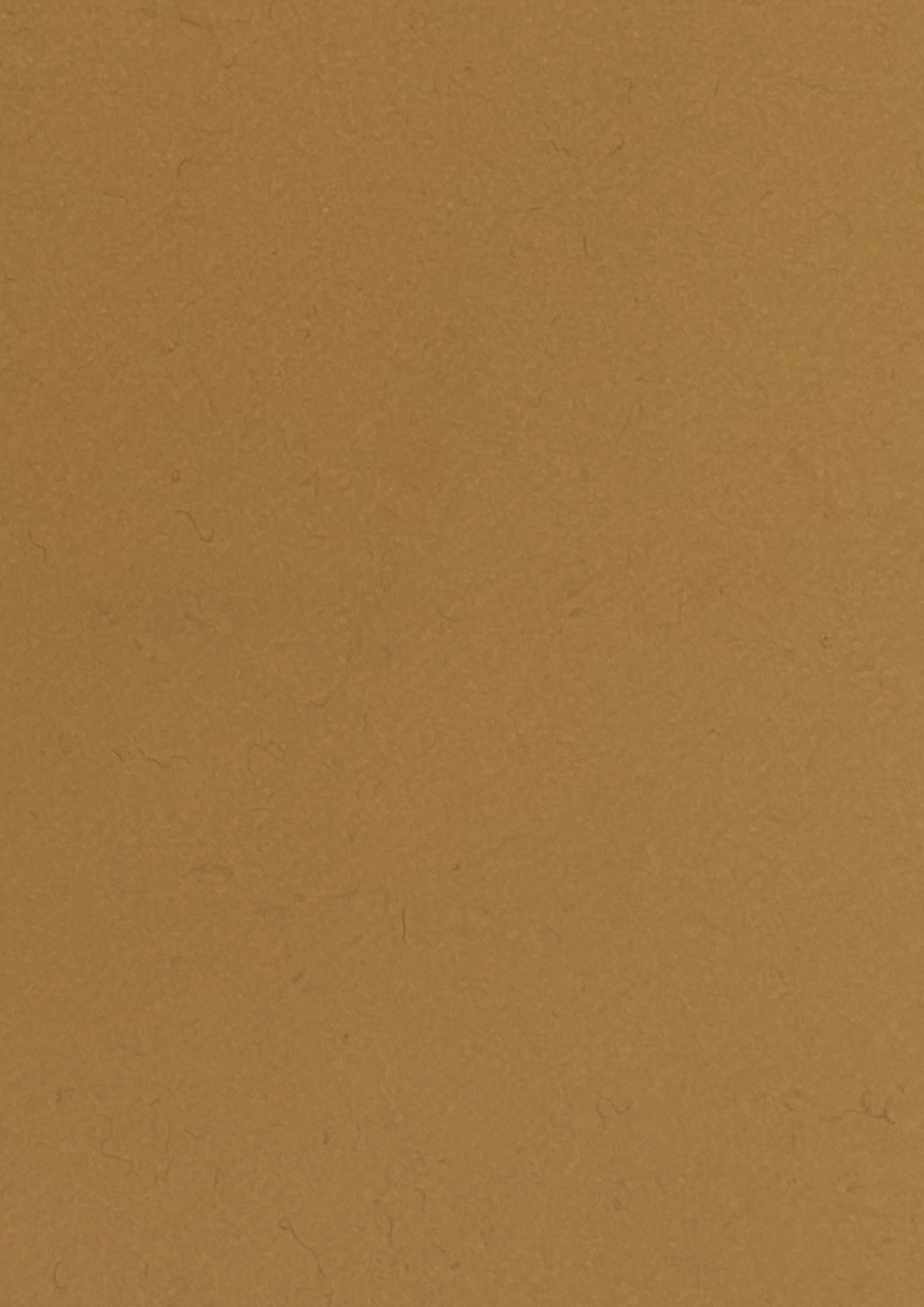 Doeskin – Hainsworth Fabric of a Nation