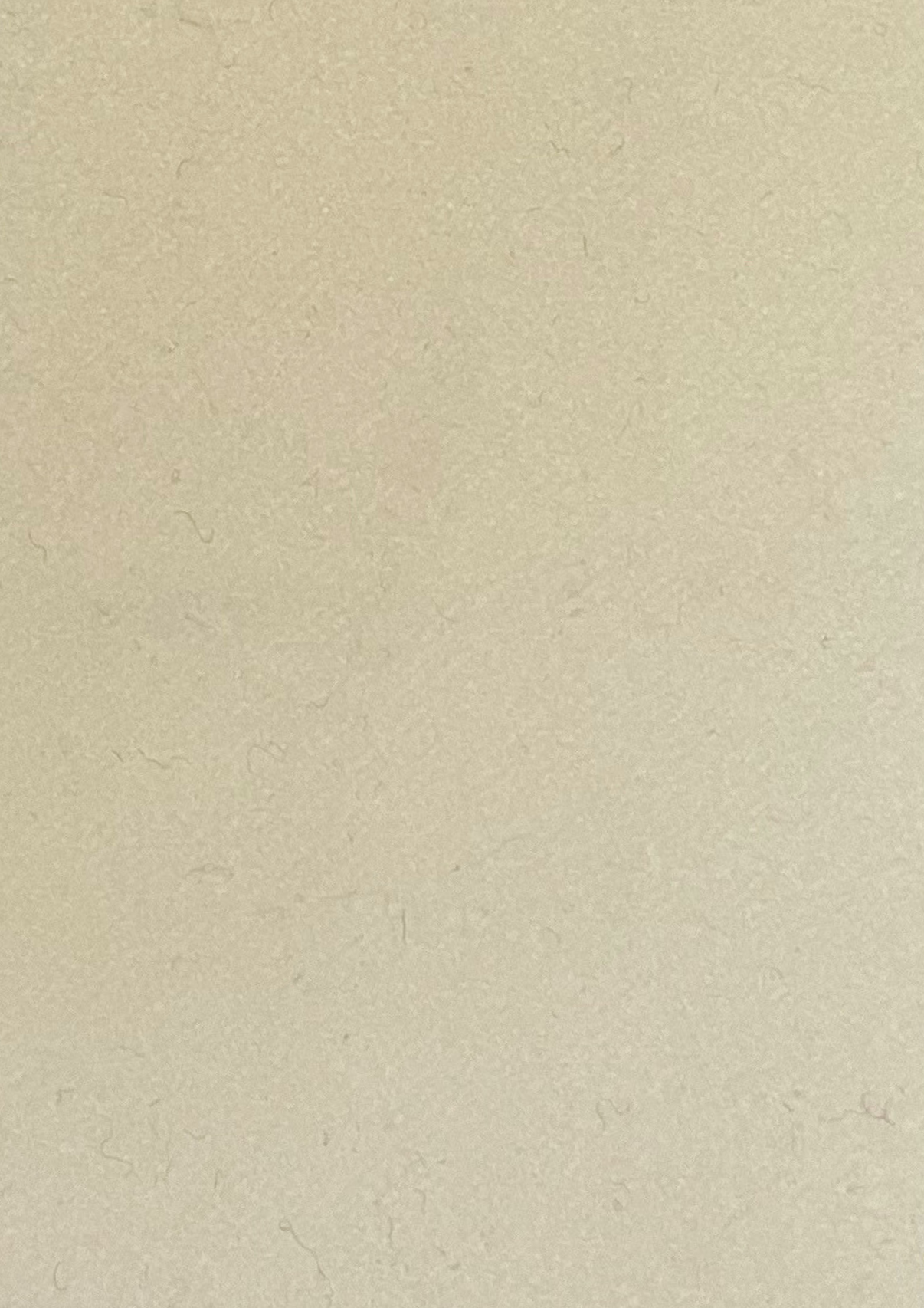 Doeskin – Hainsworth Signature Fabrics