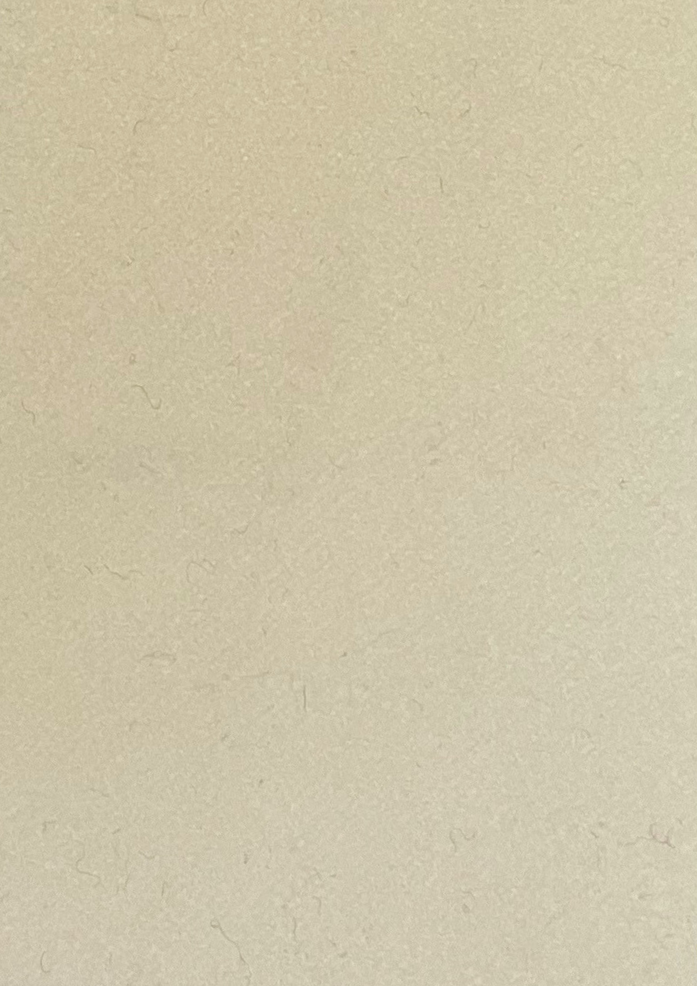 Doeskin – Hainsworth Signature Fabrics